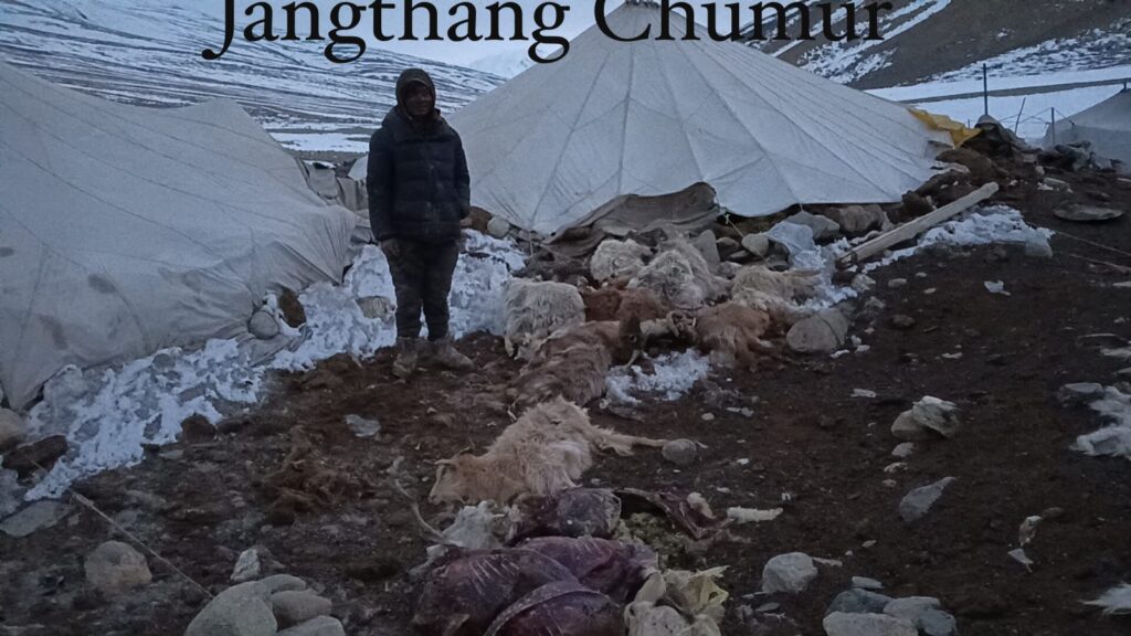 Global Alliance for Tibet & Persecuted Minorities (GATPM) – Human ...